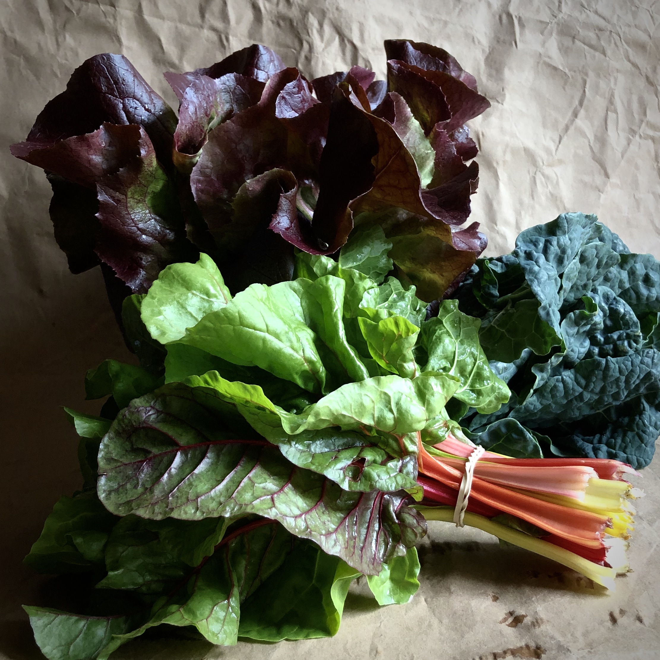 Greens – Eckerton Hill Farm